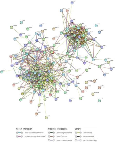 String Generated Interaction Occurrence Between Differently Expressed