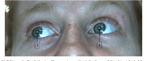 figure 1 from em cogload an investigation into age and cognitive load