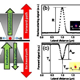 A Schematic Of X Scan Method I E Excitation Focus Scanning In X Download Scientific Diagram