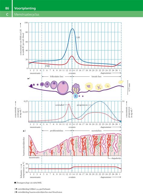 Hormonen Biologielessennl