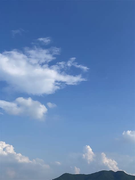 디자이너가 색을 보는 방법