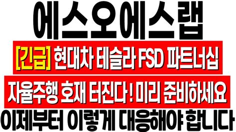에스오에스랩 주가 전망 현대차 테슬라 Fsd 협업 가능성 자율주행 호재 터진다 미리 준비하세요 에스오에스랩 주식 분석