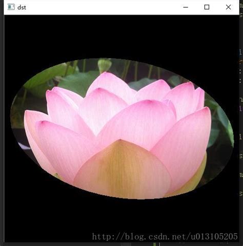 opencv2 4 13 中 选取roi区域，任意形状（矩形，不规则多边形，圆形，椭圆，手动指定形状） opencv 中region是什么形状
