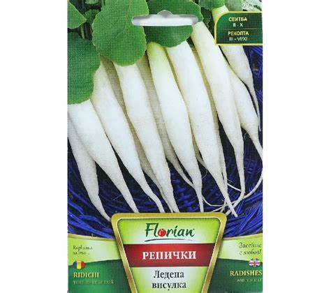 Семена за репички „Ледена висулка” Средно ранен сорт За открито и оранжерии