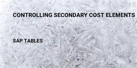 Controlling Secondary Cost Elements Table In Sap