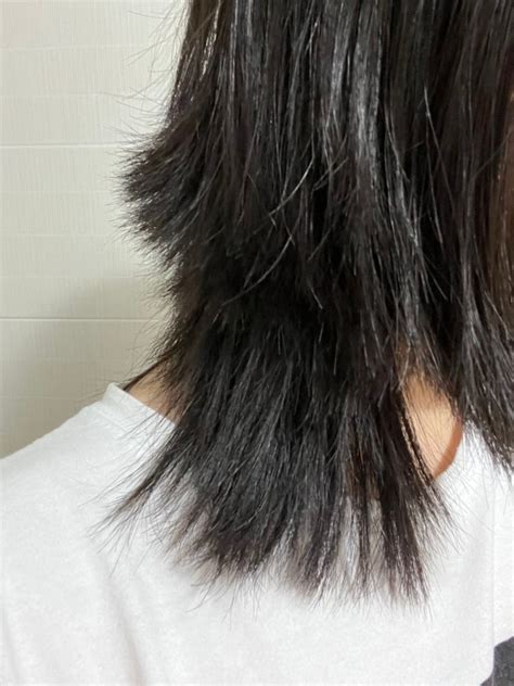 레이어드컷 망함 지식in