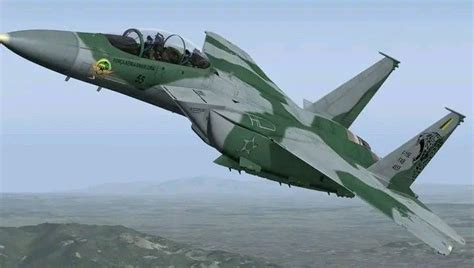 Horton Brothers Flying Wings Artofit