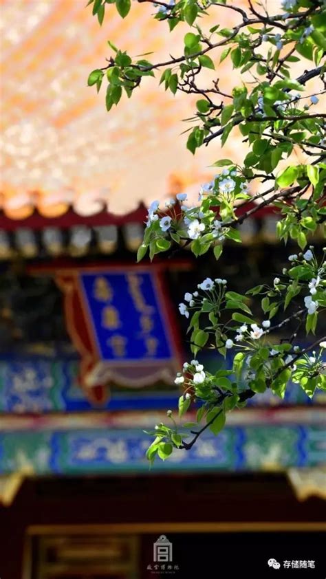 Pcie系列专题之二：24 Flow Control机制概述pcie Vc通道 Csdn博客