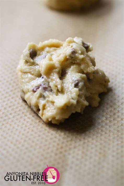 Anyonita Nibbles Gluten Free Recipes Gluten Free Chocolate Chip