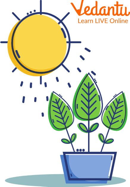 Light Spectrum Explained Learn And Experiment In Class Live