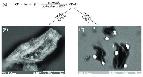 The Principal Scheme Of Synthesis Of Peroxidase Mimetic Nanozymes Based