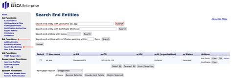 Creating Tls Server Side Certificate For Application Interface