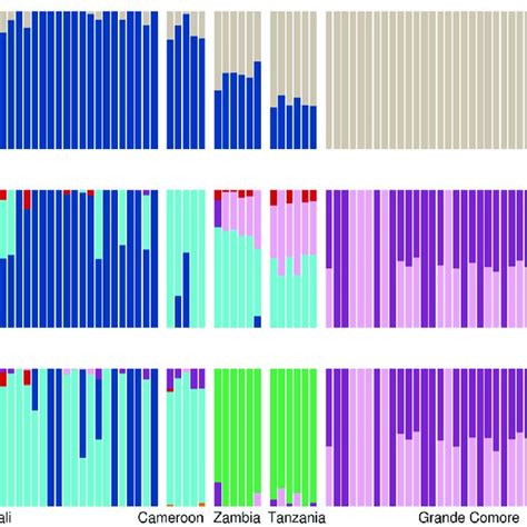 Admixture Analysis Snp Data Are Used To Estimate Individual