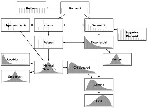 Common Probability Distributions