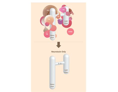 Coretox Buy Coretox Botox Online Reviews On Skin Reboot