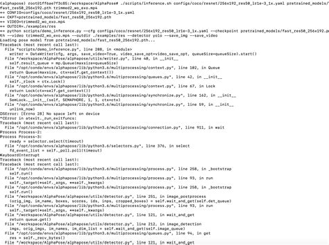 Error Running AlphaPose On A Video Issue MVIG SJTU AlphaPose GitHub