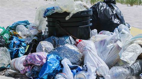 Fakten: Tauche ein ins Plastik-Wissen! - Plastic Revolution