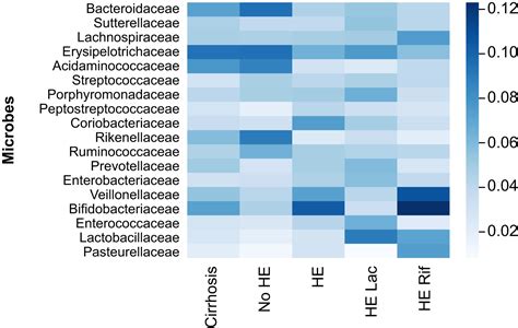 Sex Is Associated With Differences In Gut Microbial Composition And Function In Hepatic