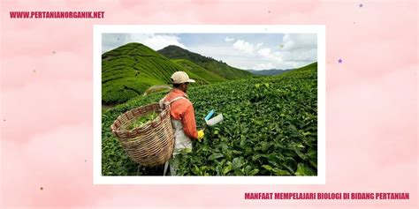 Manfaat Mempelajari Biologi di Bidang Pertanian - Pertanian Organik