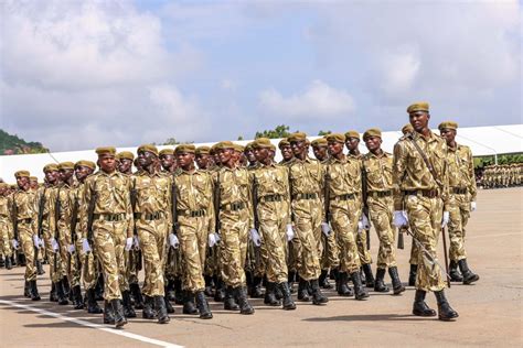 President Ruto Commends Kws For Enhanced Revenue Collection And Conservation Efforts Kenya
