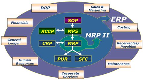 Modular Structure Of Erp Systems Source Corra 2001 Download