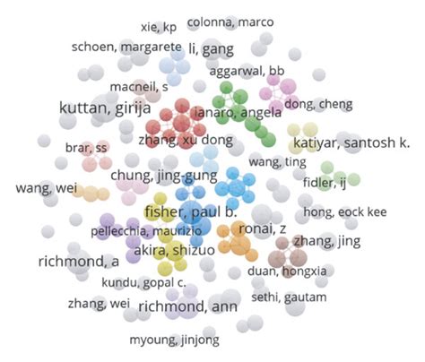 Author Analysis A Visual Cluster Analysis Of Cooperation Among