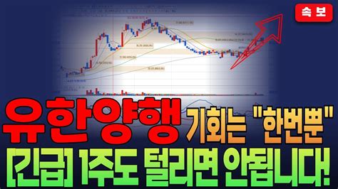 유한양행 주가전망 기회는 한번 뿐 긴급 1주도 털리면 안됩니다 Youtube