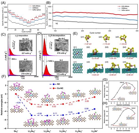 Single Metal Atoms Catalysts—promising Candidates For Next Generation