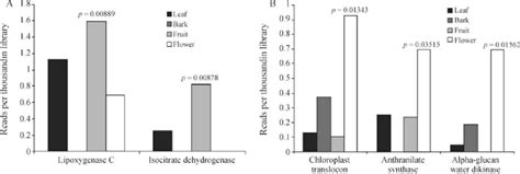 Normalized Expression Of Citrus Sinensis Sequences With The Highest Download Scientific