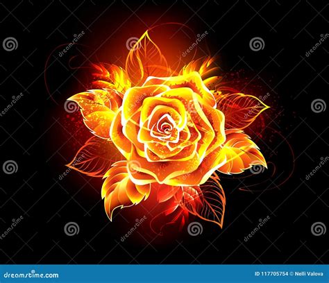 Blooming Fire Rose Flame Rose Vector Illustration