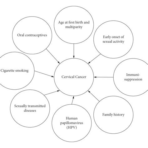 Various Risk Factors For Cervical Cancer Download Scientific Diagram