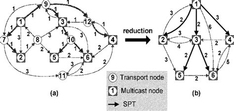 transport nodes are labelled by the circle and the multicast nodes are