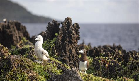 Christmas Island Visitor Centre — Christmas Island