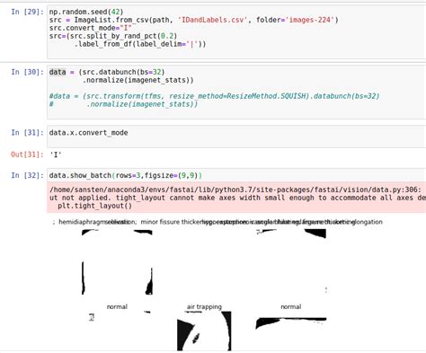 Data Show Batch Display Low Resolution Image Part Fast Ai Course Forums