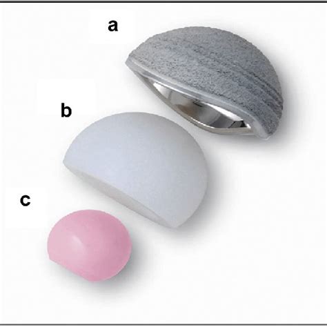 Modular Dual Mobility Acetabular System Mdm X3 Stryker Orthopedics Download Scientific Diagram