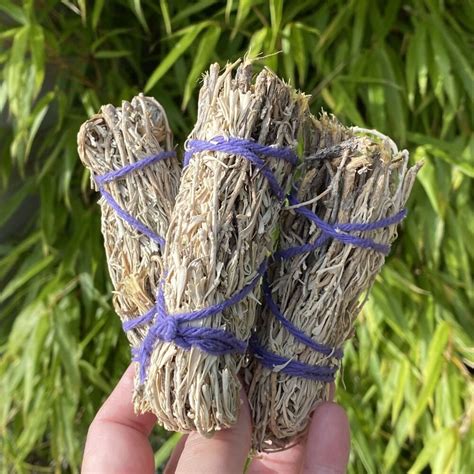 Farm Grown Sage Smudge Stick