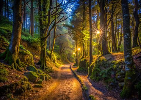 독특한 디자인의 도시 스카이라인 도시 하늘 지평선 배경 배경 일러스트 및 사진 무료 다운로드 Pngtree