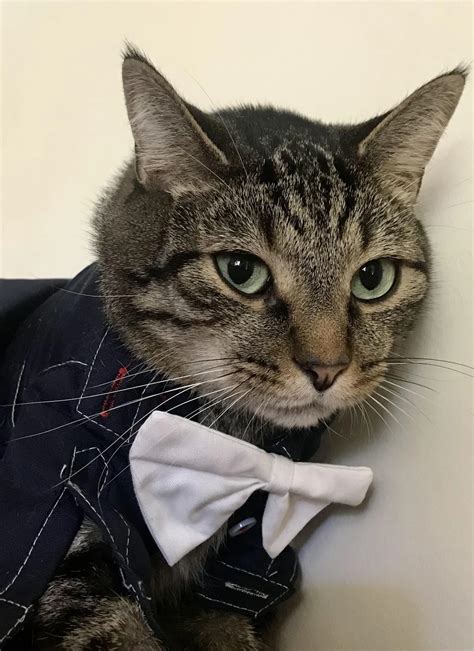 Jake Would Like To Know Why Youre Late For The Third Time This Week