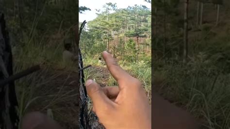 T Nh Anh Em Anh Ba Ph I Tv Youtube