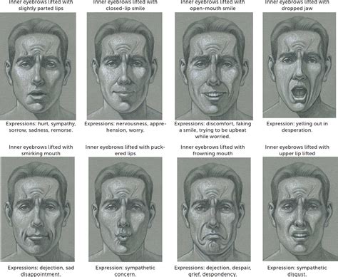 Facial Muscles And Expressions Classic Human Anatomy In Motion The