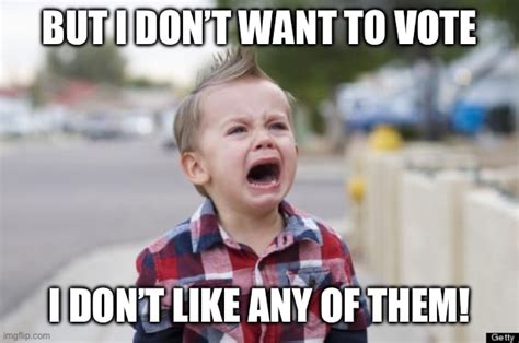 Funny Election Day Memes For Lola Lambchops
