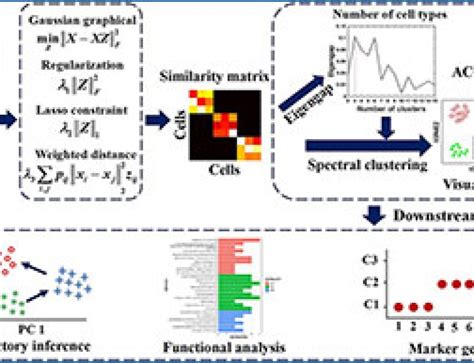 Funpat Function Based Pattern Analysis On Rna Seq Time Series Data Rna Seq Blog