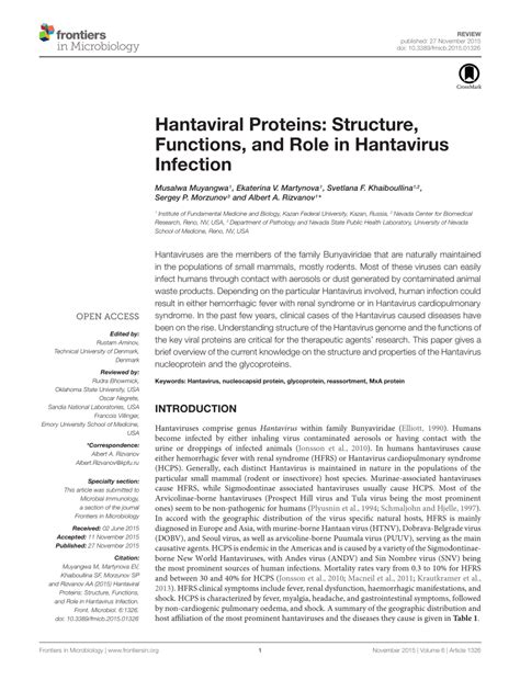 Pdf Hantaviral Proteins Structure Functions And Role In Hantavirus