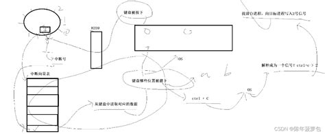 linux（信号） csdn博客