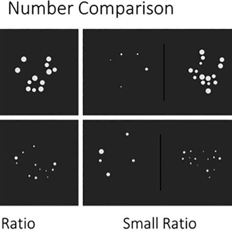example stimuli from the nonsymbolic number comparison left and