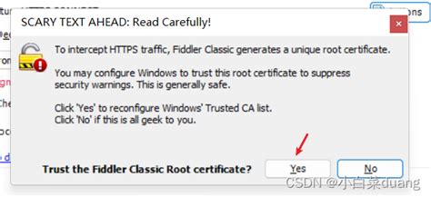 Fiddle 抓包小白一步带过超详细教程（含汉化）fiddler汉化 Csdn博客