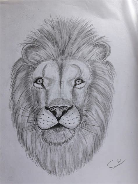 Tekening Leeuw In 2020 Tekenen Leeuw Tekening Leeuw Porn Sex Picture