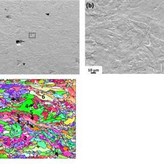A B SEM Images And C EBSD Image Of The Sample After 72 Hours Download Scientific Diagram
