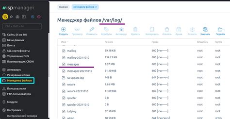 How To Use Nslookup Windows Command 11 Examples Хостинги