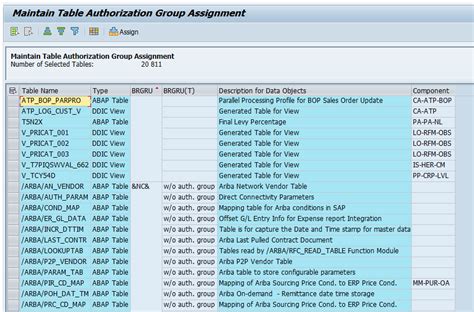 Stddat Consistency Check For Generic Table Access Authorization Group